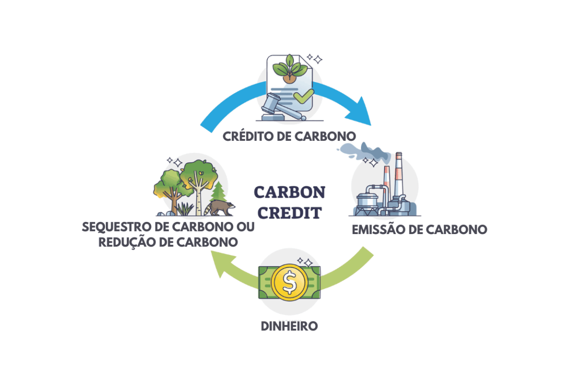 What is carbon credit and what are the advantages? - Alutal Blog